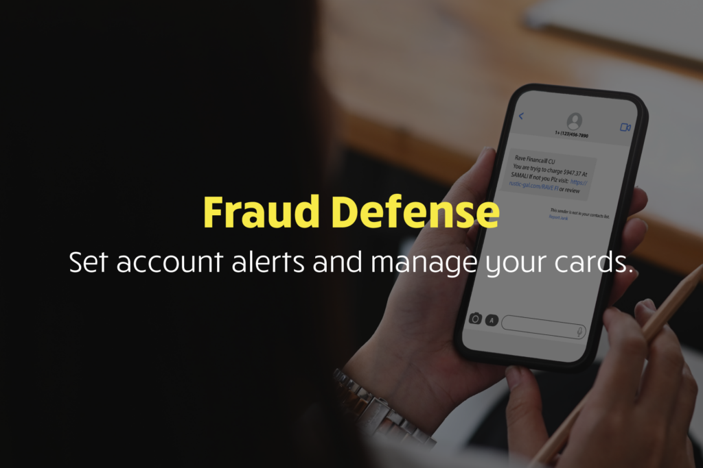 Fraud Prevention - Rave Financial
